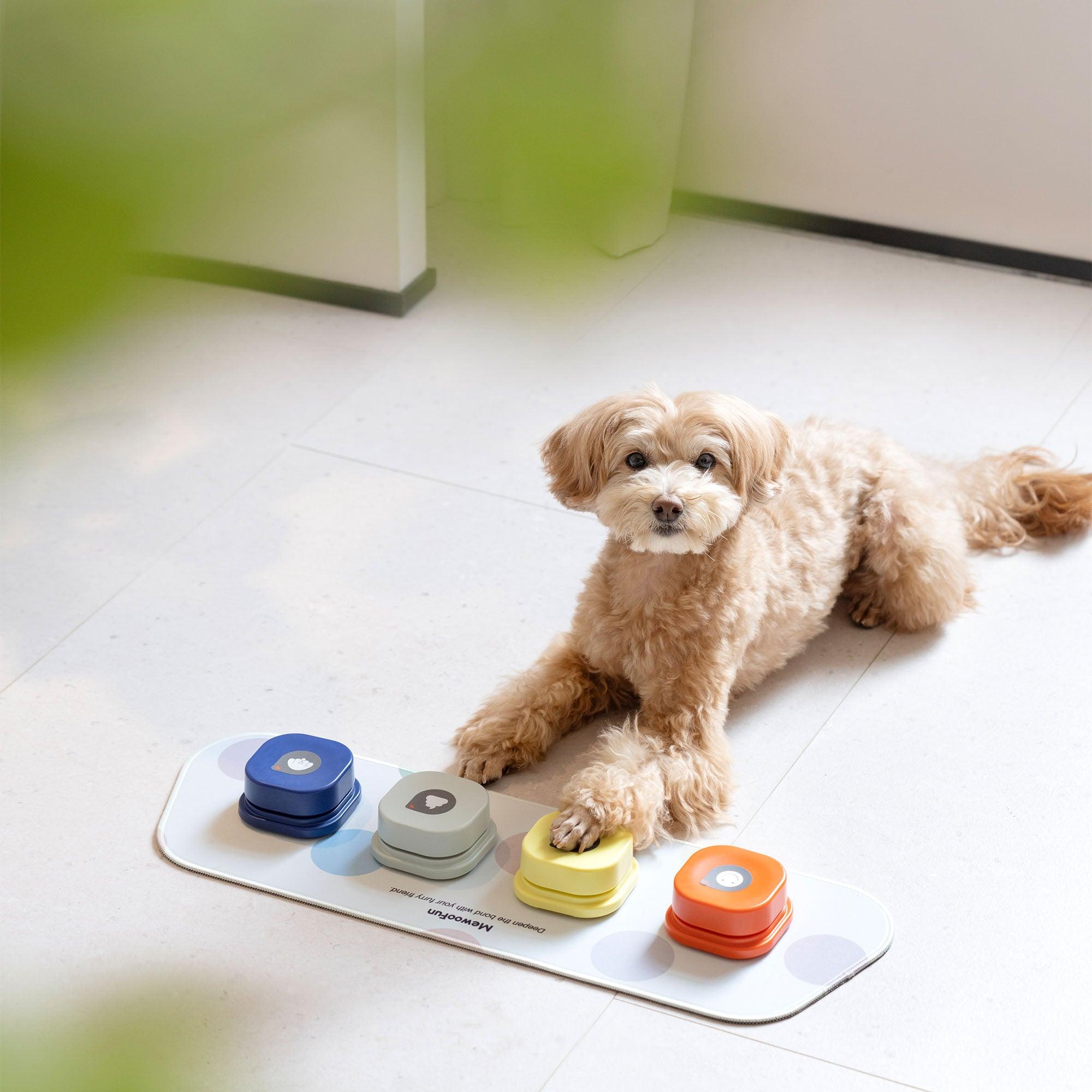 Mewoofun Dog Talking Buttons Australia | Recordable Dog Buttons for ... Mewoofun Dog Talking Buttons Australia | Recordable Dog Buttons for ...